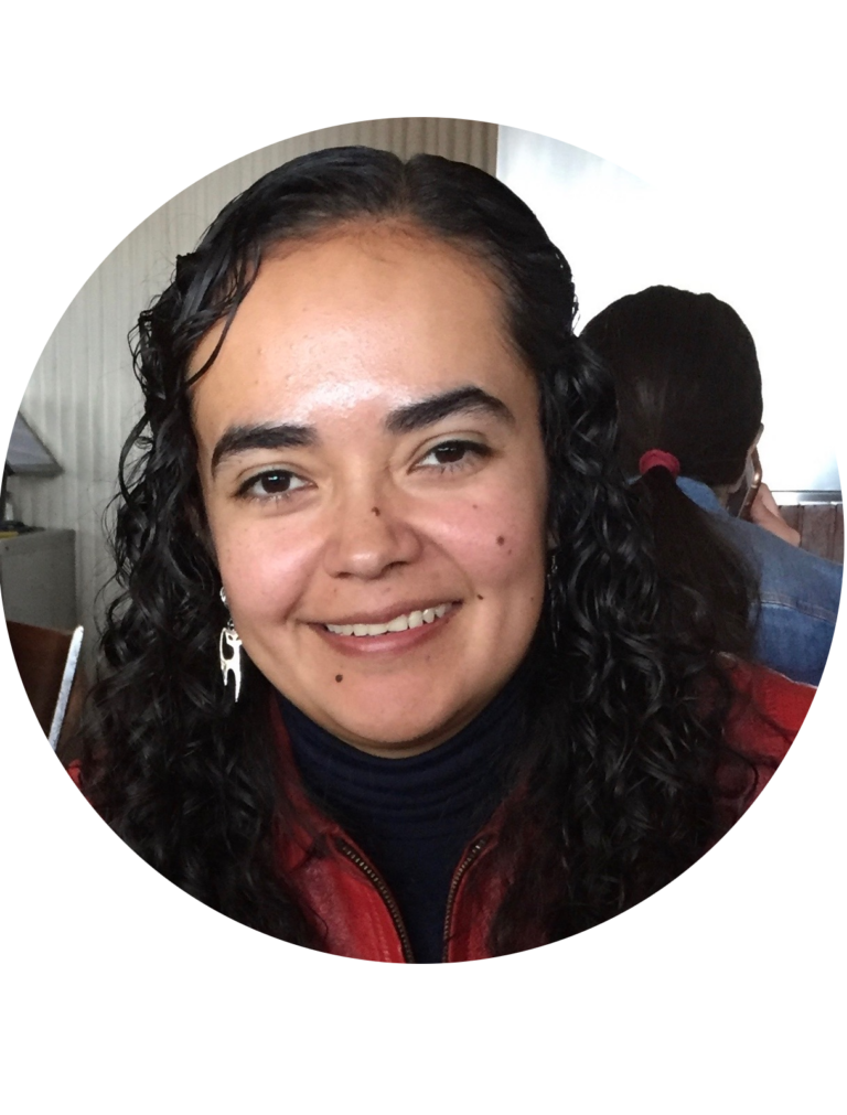 Docentes – Doctorado ingeniería UD